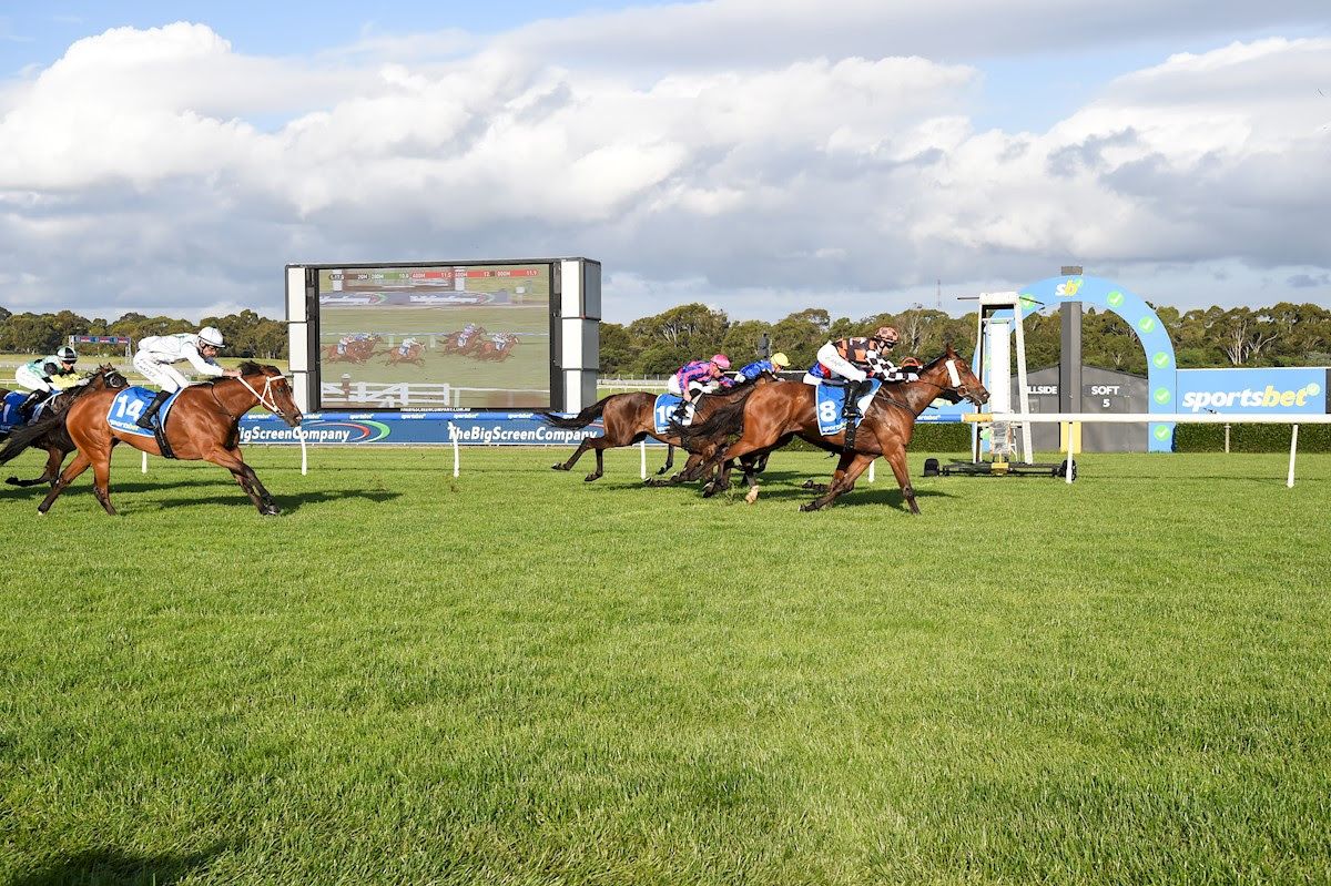 MAGNASPIN TOO STRONG 1ST UP AT SANDOWN - Best Horse Racing Syndicates ...