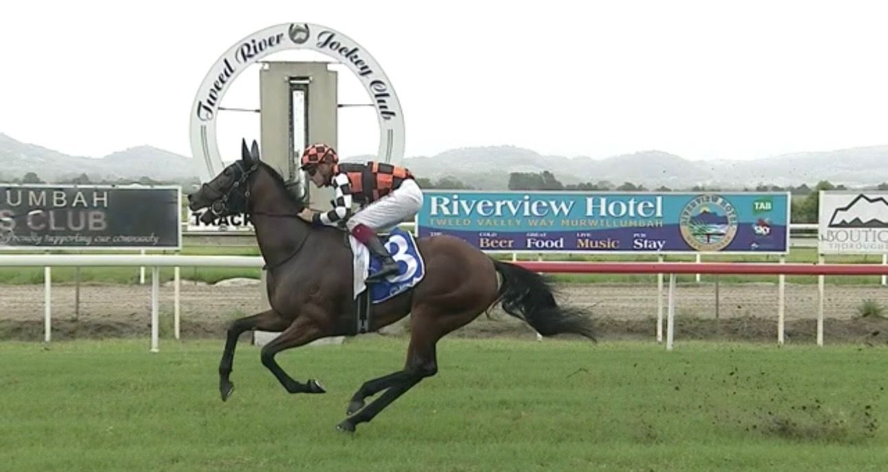 BEAUTY BOUNDS AWAY WITH AN EASY WIN - Best Horse Racing Syndicates ...