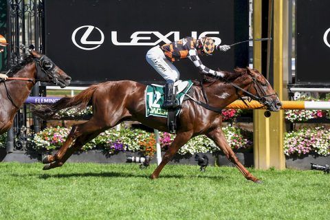 Bennett Racing - Best Horse Racing Syndicates & Racehorse Shares ...