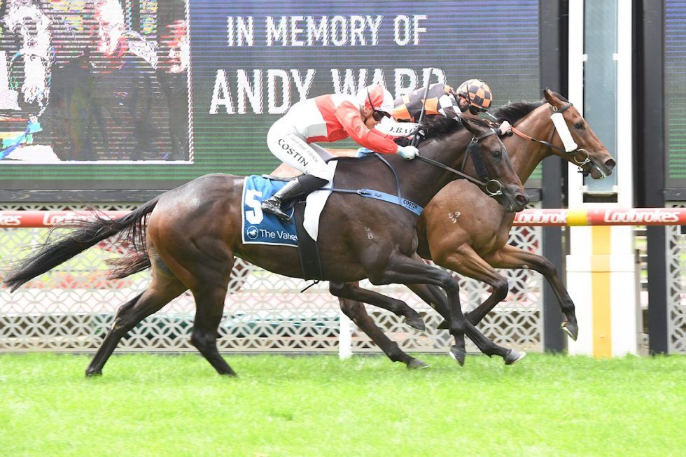 MAGNASPIN TOUGH INFRONT WINS AGAIN - Best Horse Racing Syndicates ...