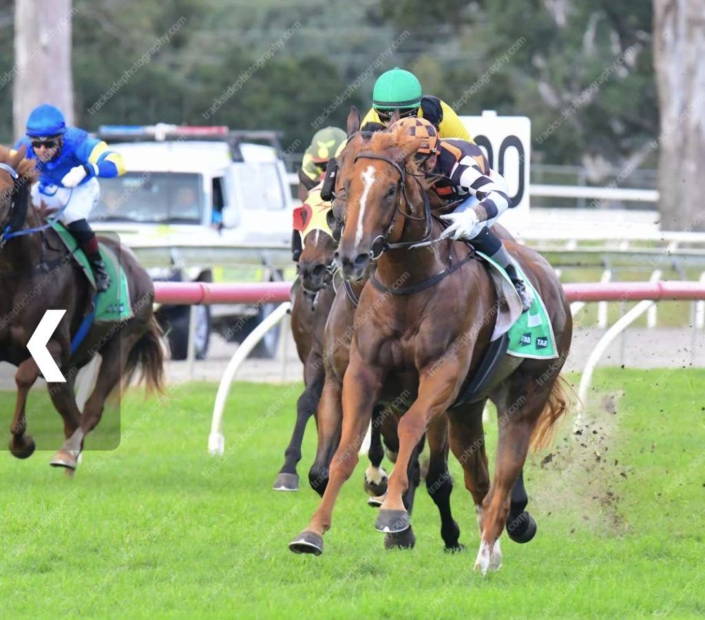 FLYING D’AMORE BREAKS MAIDEN IN STYLE - Best Horse Racing Syndicates ...