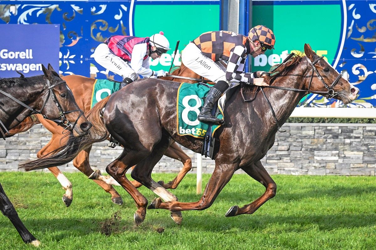 CHEVAL CHIC FINISHES HARD TO WIN - Best Horse Racing Syndicates ...