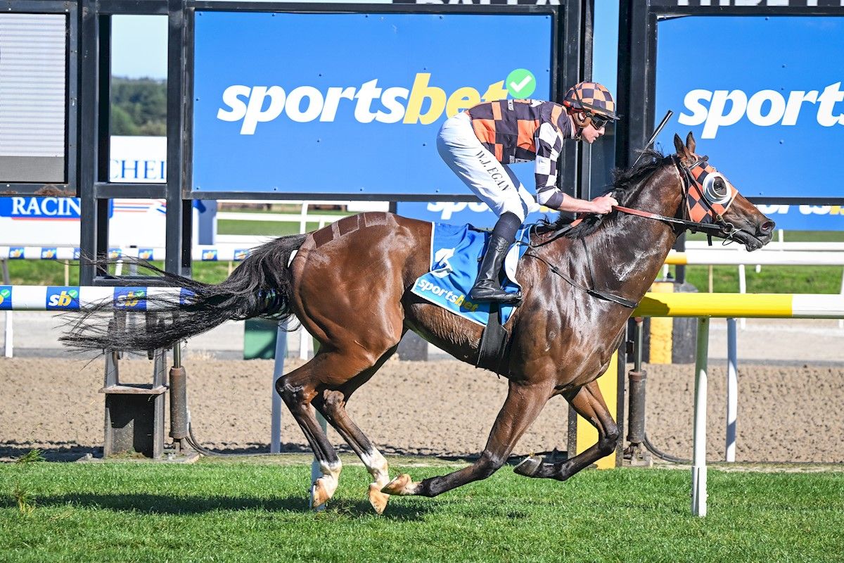 TOO EASY FOR SIGN FROM ABOVE - Best Horse Racing Syndicates & Racehorse ...