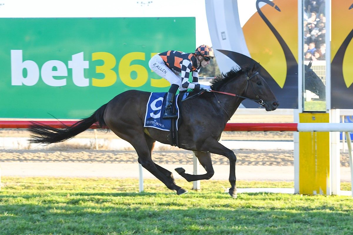 Bennett Racing - Best Horse Racing Syndicates & Racehorse Shares ...