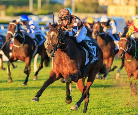 Bennett Racing - Best Horse Racing Syndicates & Racehorse Shares ...