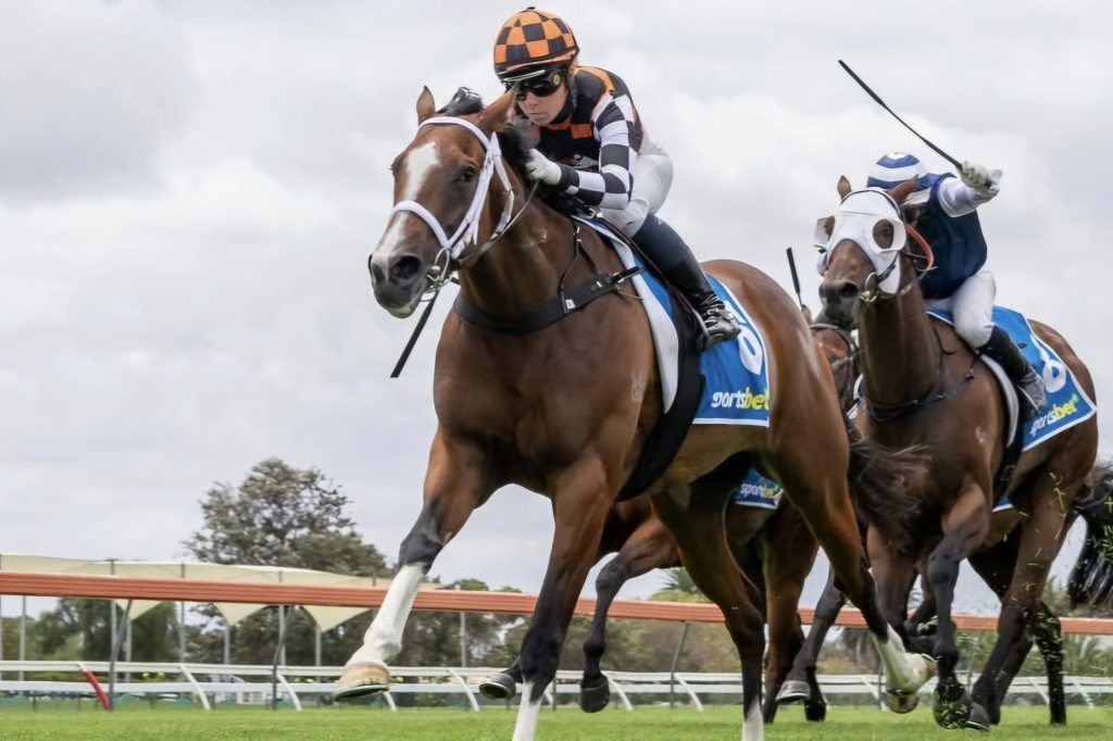 BEAUTY RISING HITS FORM AND GETS ANOTHER METRO WIN - Best Horse Racing ...