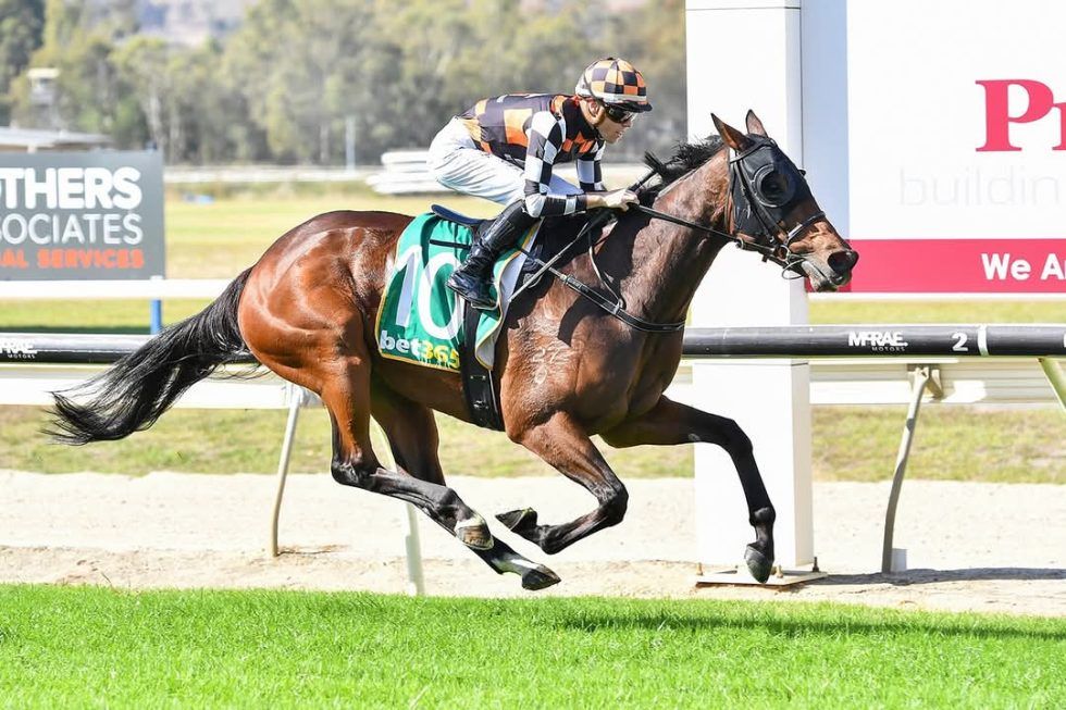 THE RIGHT PAGE BOLTS IN HER MAIDEN - Best Horse Racing Syndicates ...