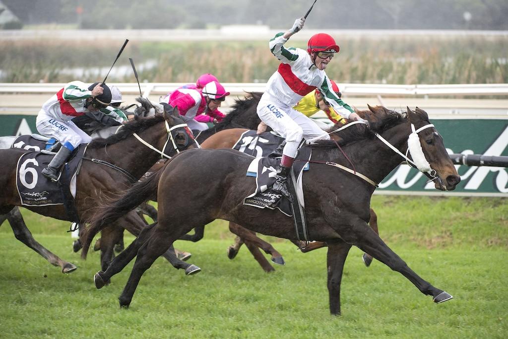 Rocky Delivers Another Group Race - Gangemi Racing