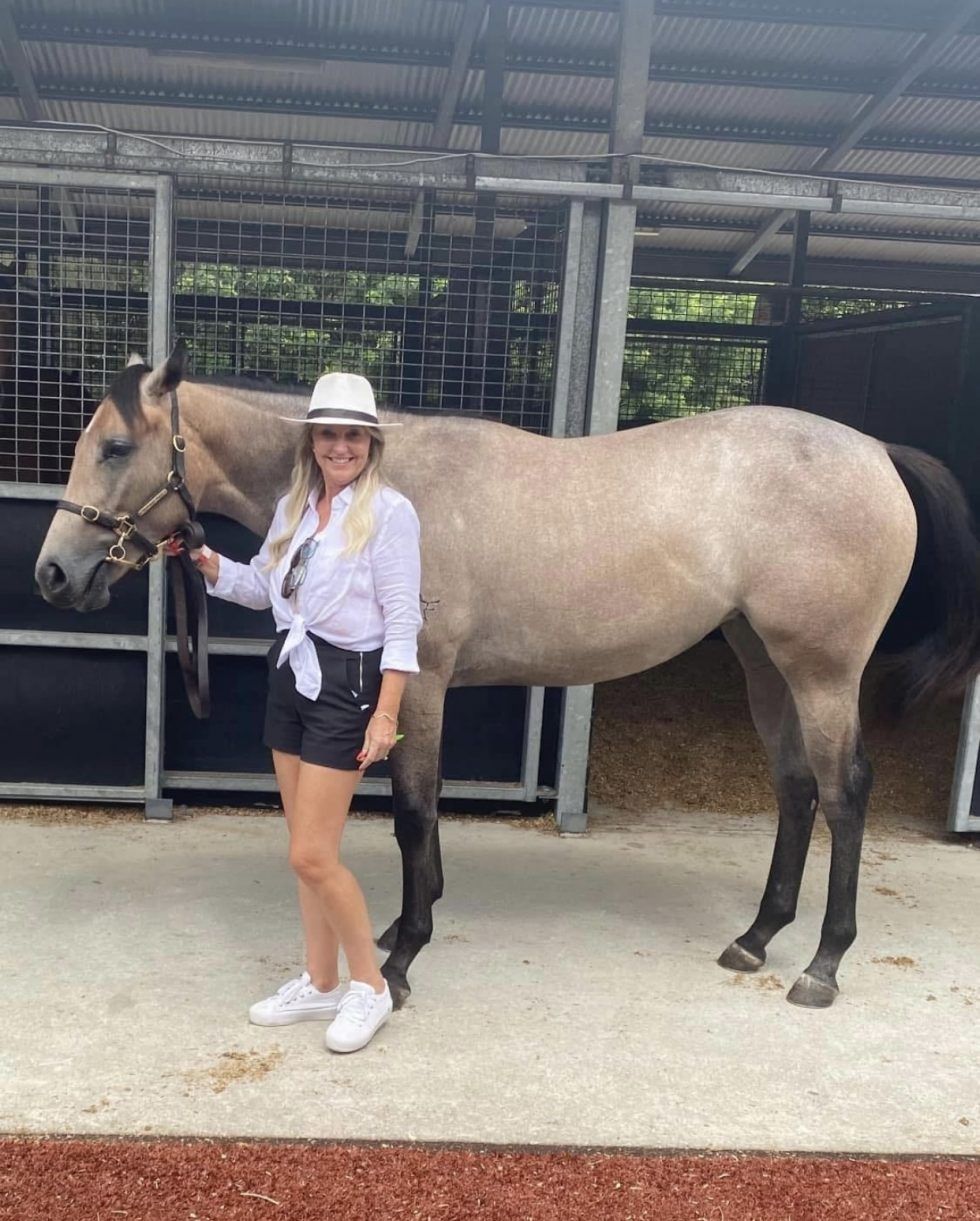 Home - RedFox Thoroughbreds