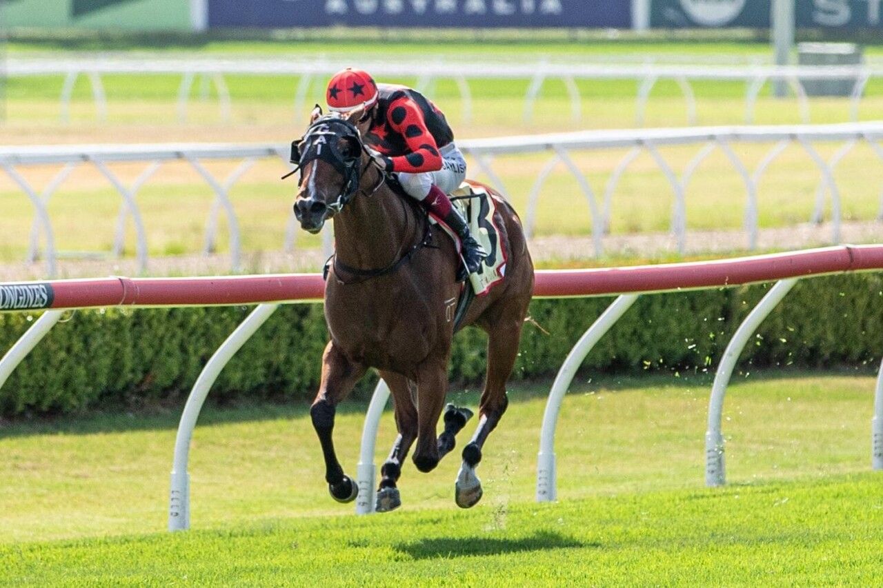 Rocketeer Girl - RedFox Thoroughbreds