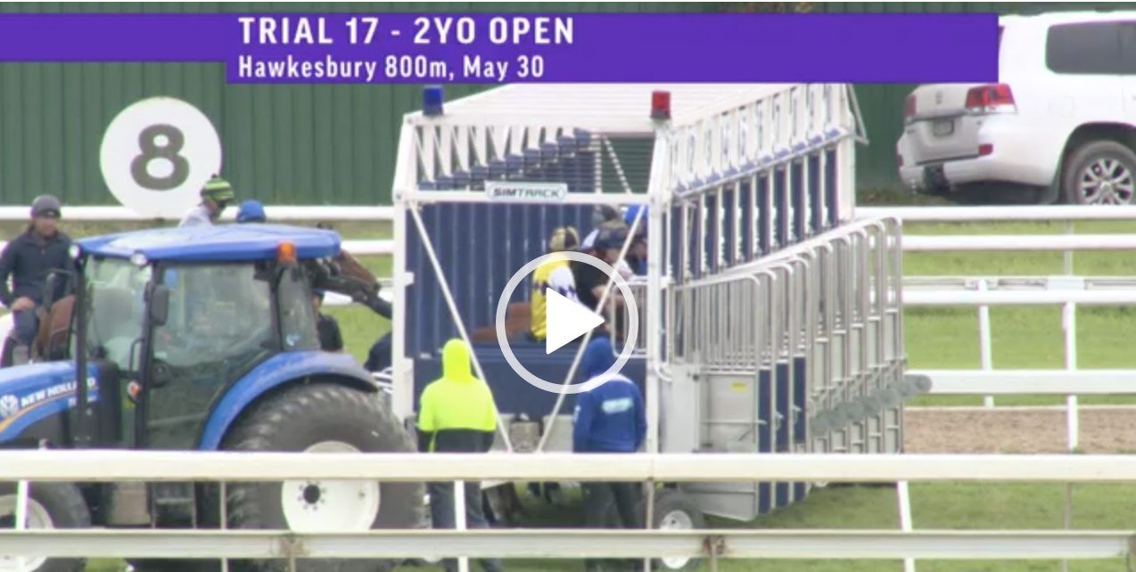 Rocketeer Girl impresses in Hawkesbury trial - RedFox Thoroughbreds