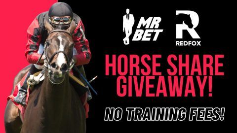 Home - RedFox Thoroughbreds