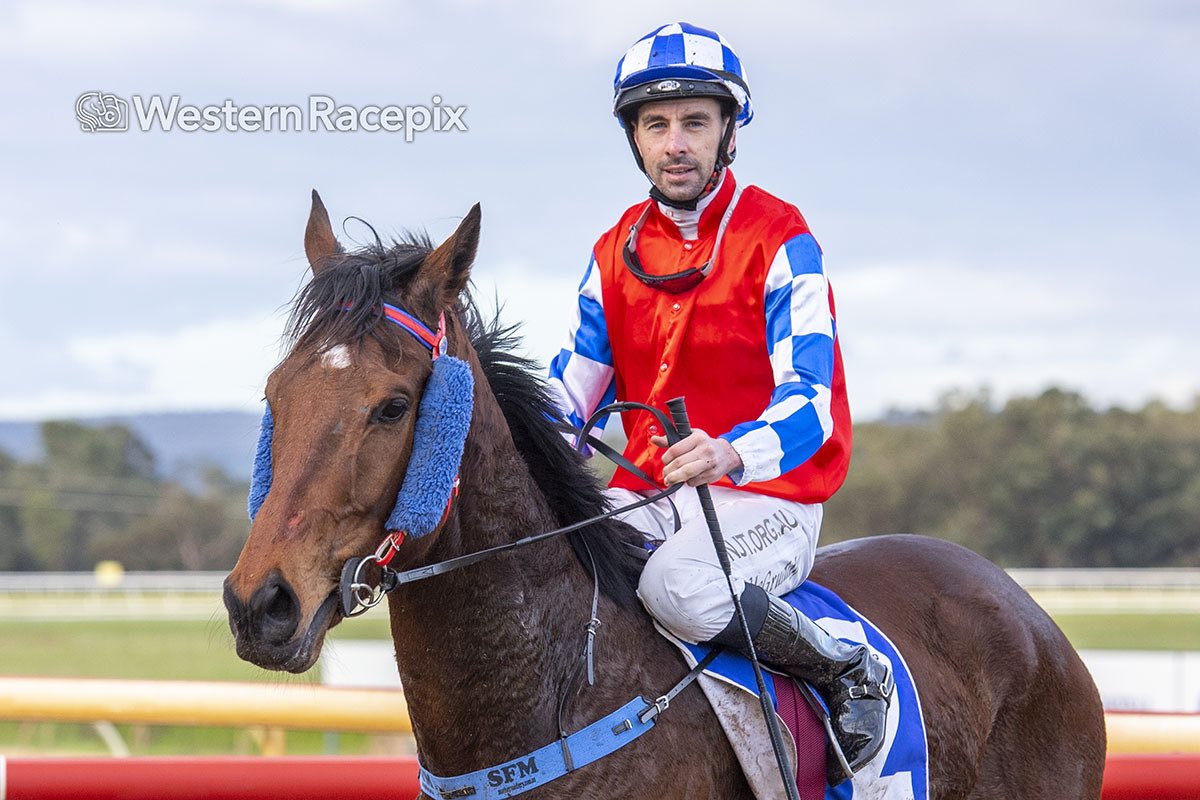 Let'sdeal lets loose to continue Team Wolfe hot streak - SJ Wolfe Racing