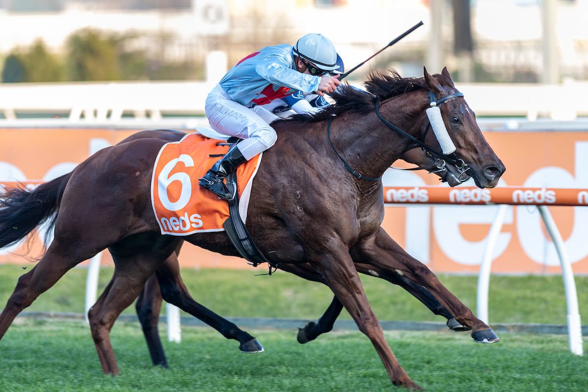 Home - SJ Wolfe Racing