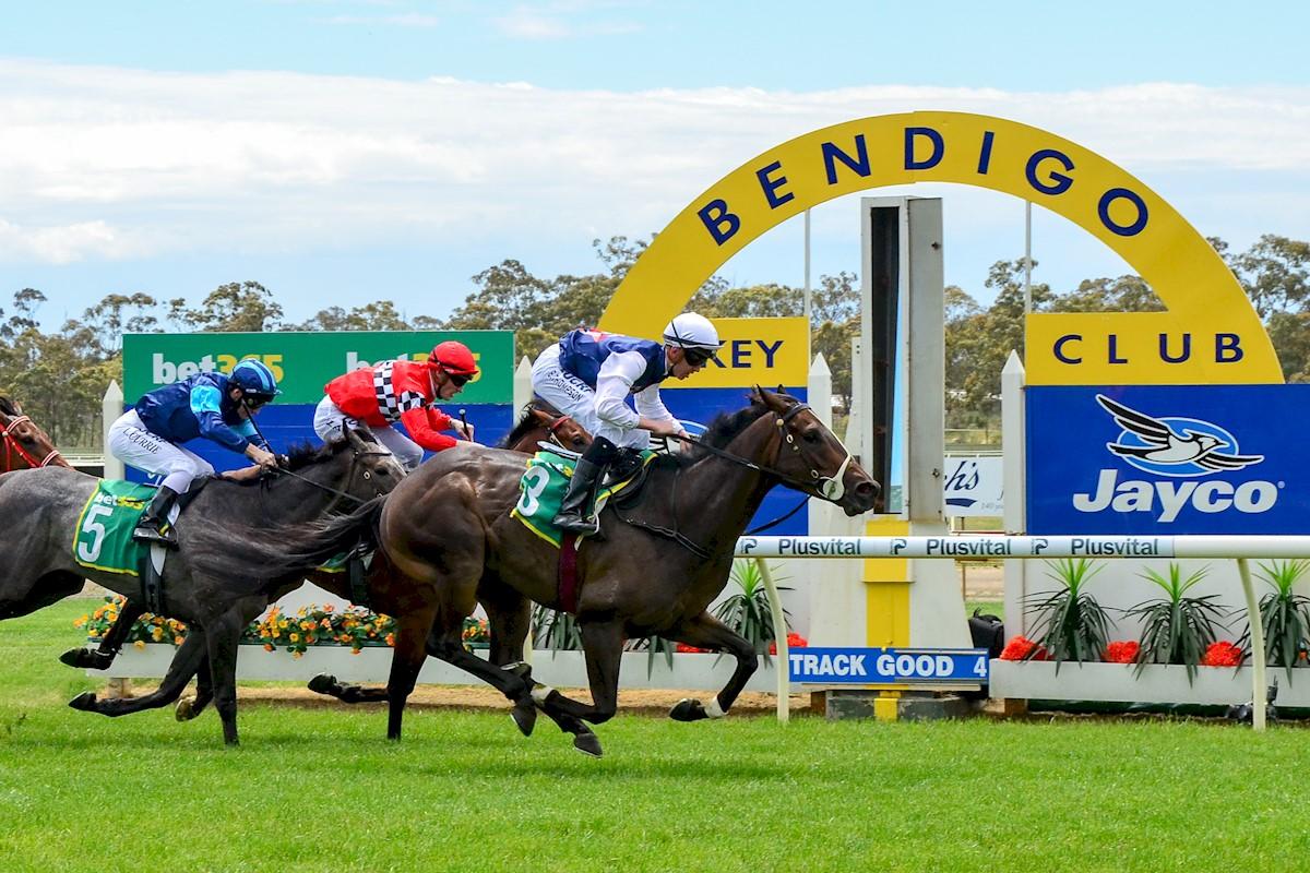 O'Lonhro Bay wins despite massive odds! - HOPE RACING PTY LTD