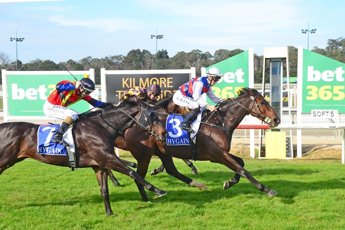 Lee's suggestion proves right - HOPE RACING PTY LTD