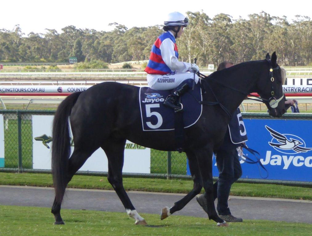 A new name joins the riding ranks - HOPE RACING PTY LTD