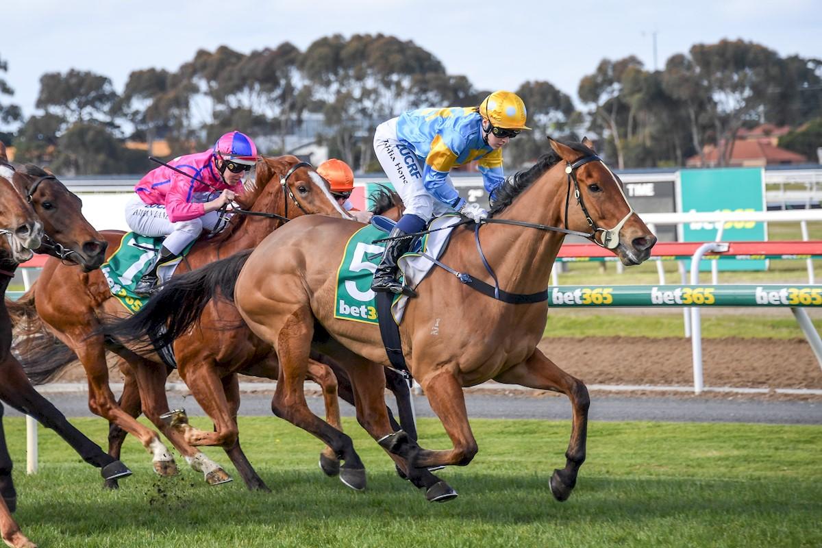 Hopes celebrate Fathers Day - HOPE RACING PTY LTD