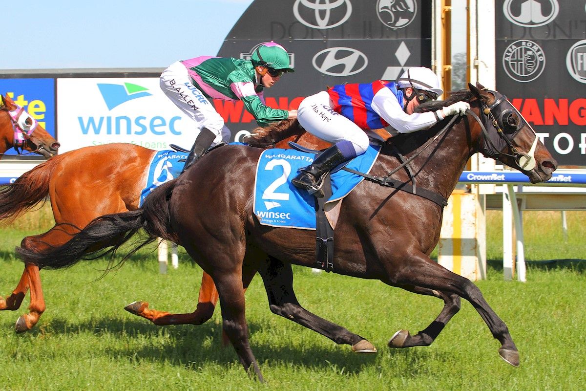 Home - HOPE RACING PTY LTD