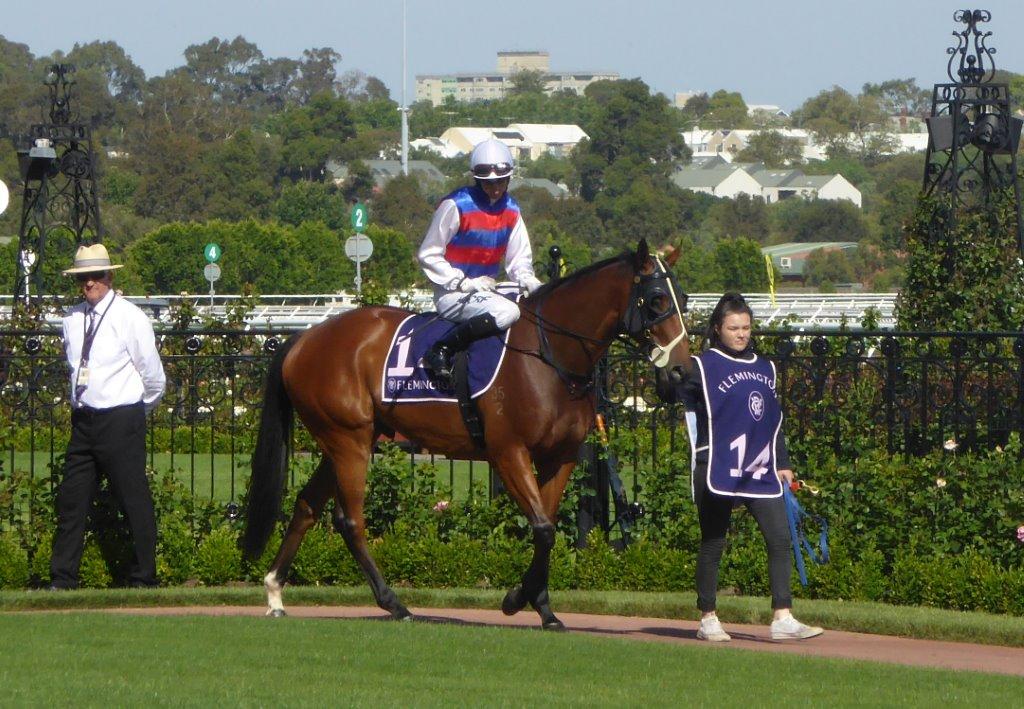 Home - HOPE RACING PTY LTD