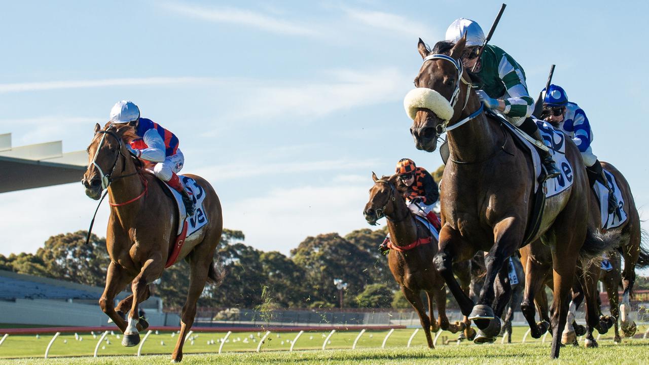 Blackbooker - "Propice heads to Flemington" - HOPE RACING PTY LTD