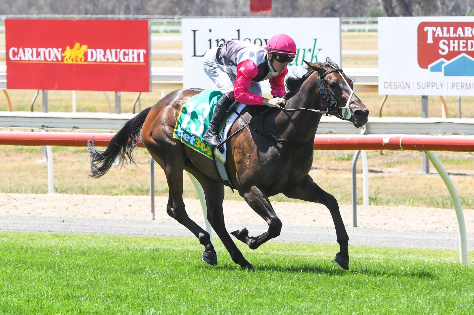 Royalty salutes at Seymour - HOPE RACING PTY LTD