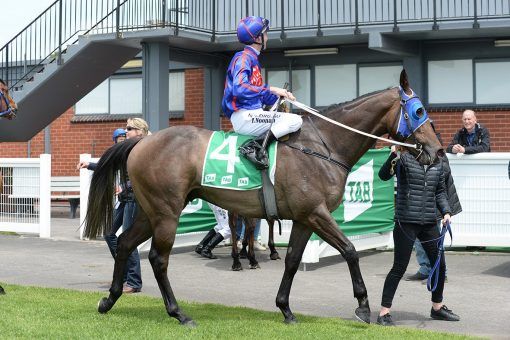 Stable - Roll The Dice Racing