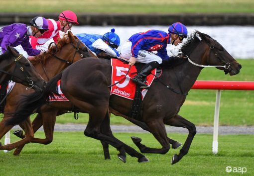 Stable - Roll The Dice Racing