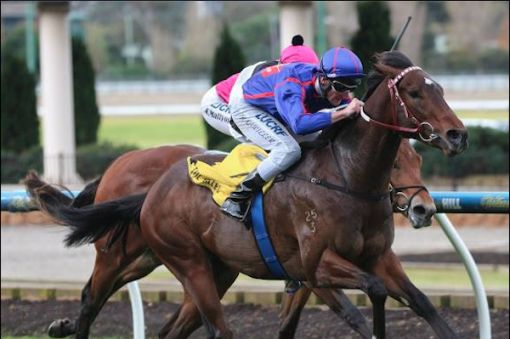 Stable - Roll The Dice Racing