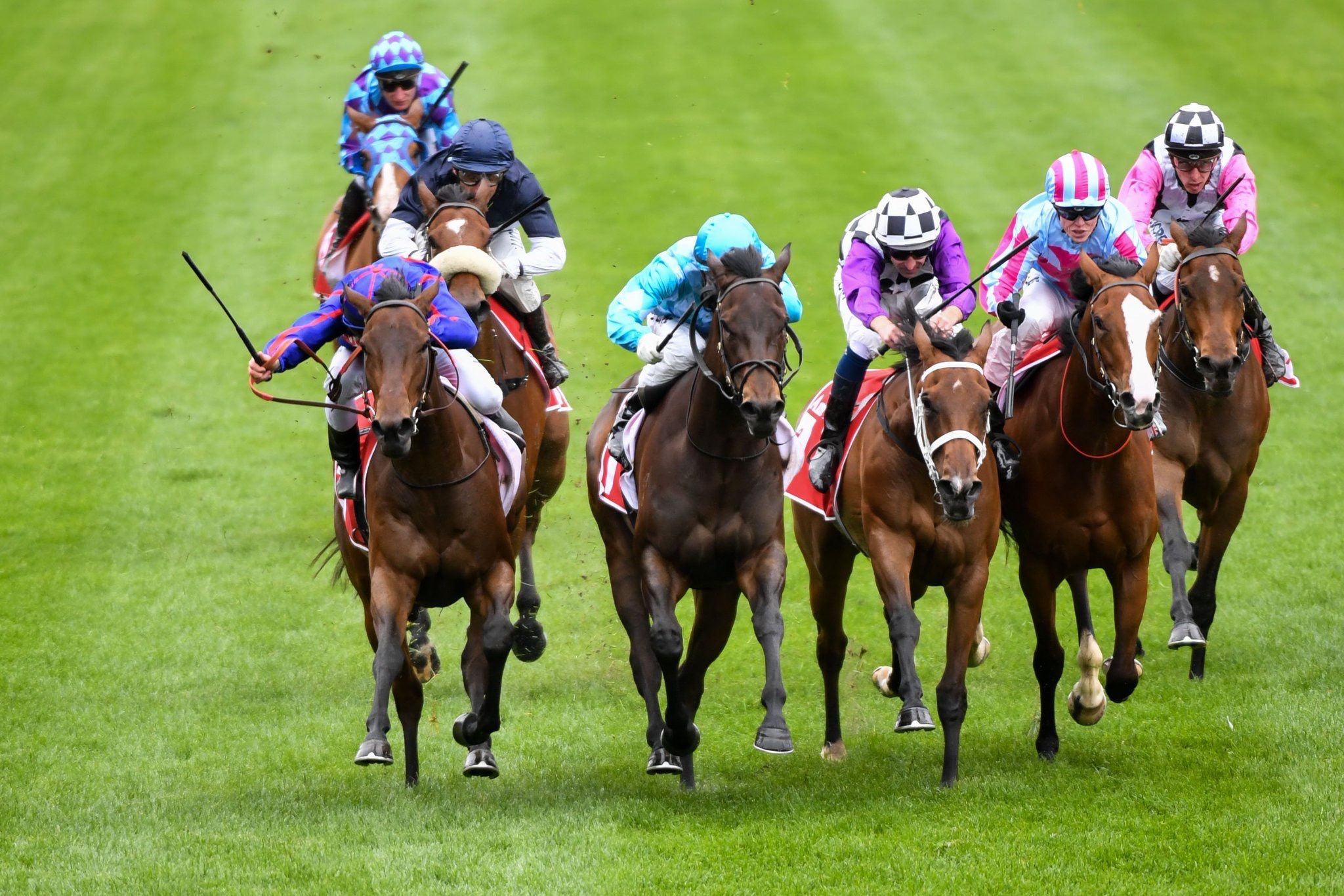 Roll the Dice Owners Information Night - Roll The Dice Racing