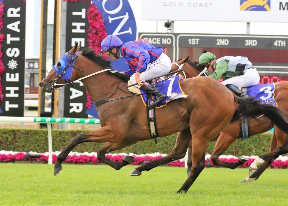 Roll the Dice Racing Strike again at Magic Millions - Roll The Dice Racing