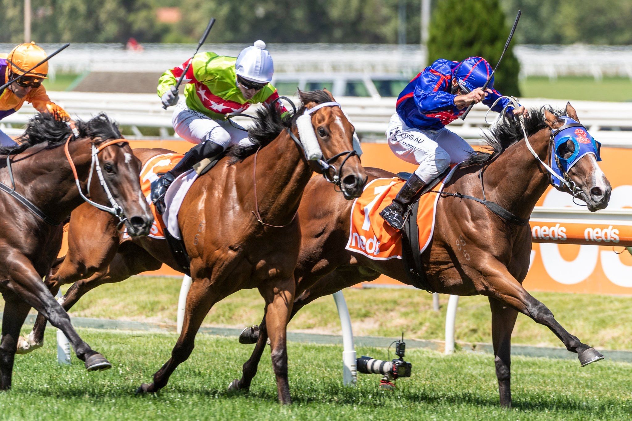 Roll The Dice Racing gets another stakes winner at Caulfield on Blue ...