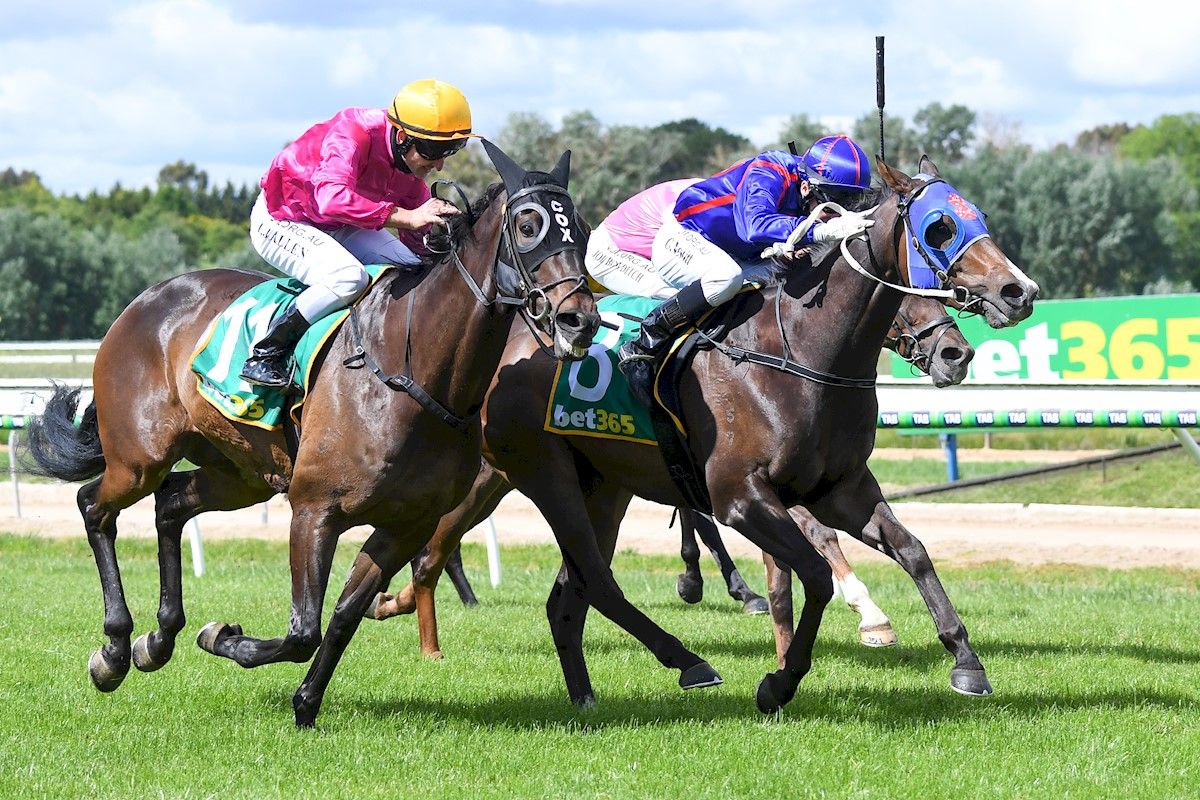 Weekend winners for Roll the Dice Racing - Roll The Dice Racing