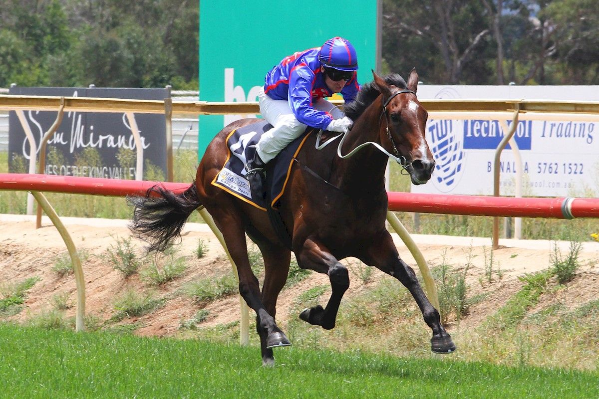 RTD owners Get In The Queue at Benalla - Roll The Dice Racing