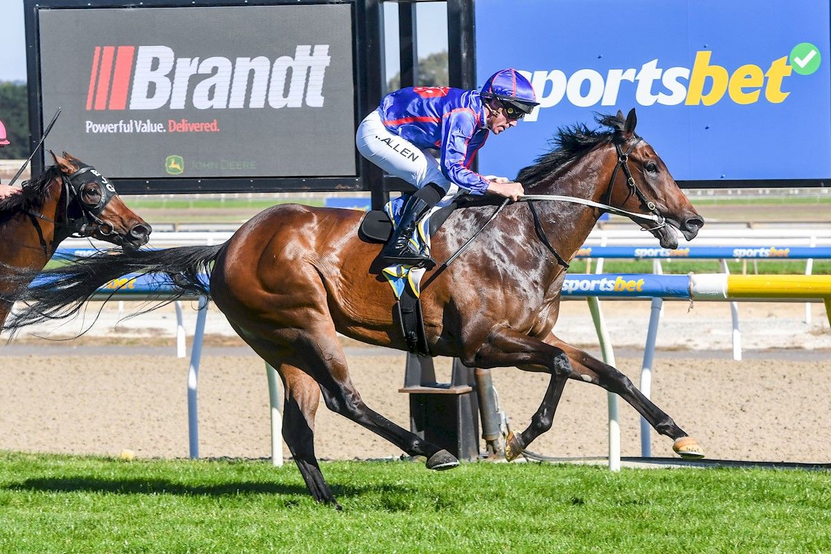 Home - Roll The Dice Racing