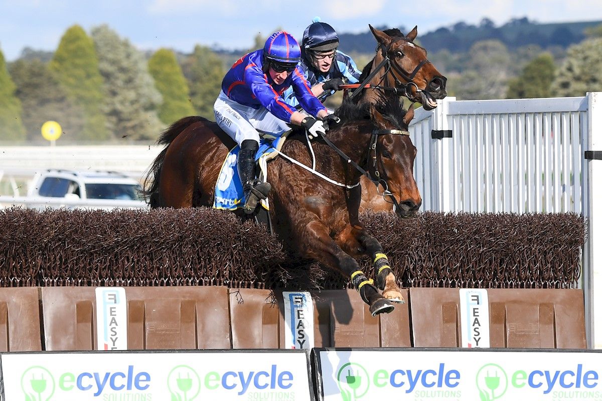 Home - Roll The Dice Racing