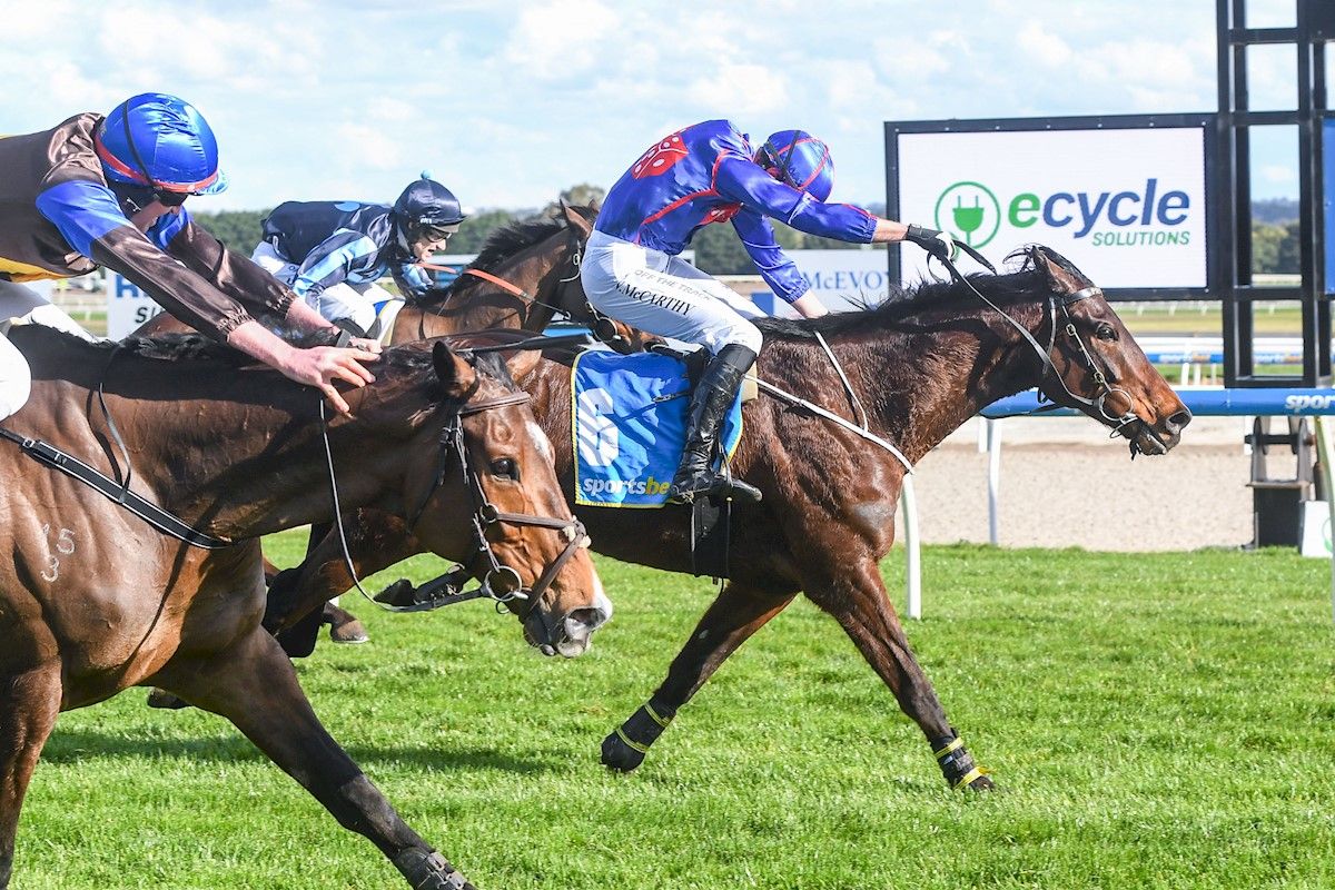 St Arnicca wins the Grand National for Roll the Dice Racing! - Roll The ...