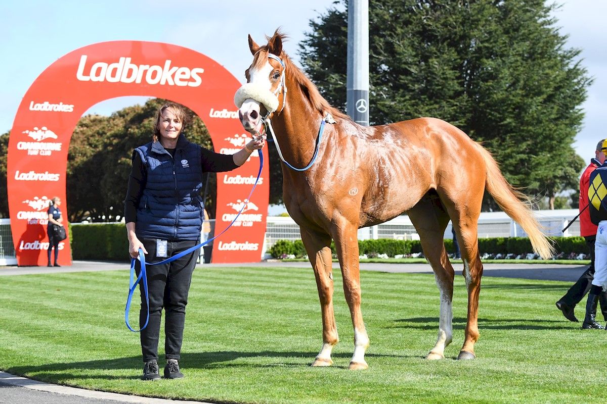 Home - Roll The Dice Racing