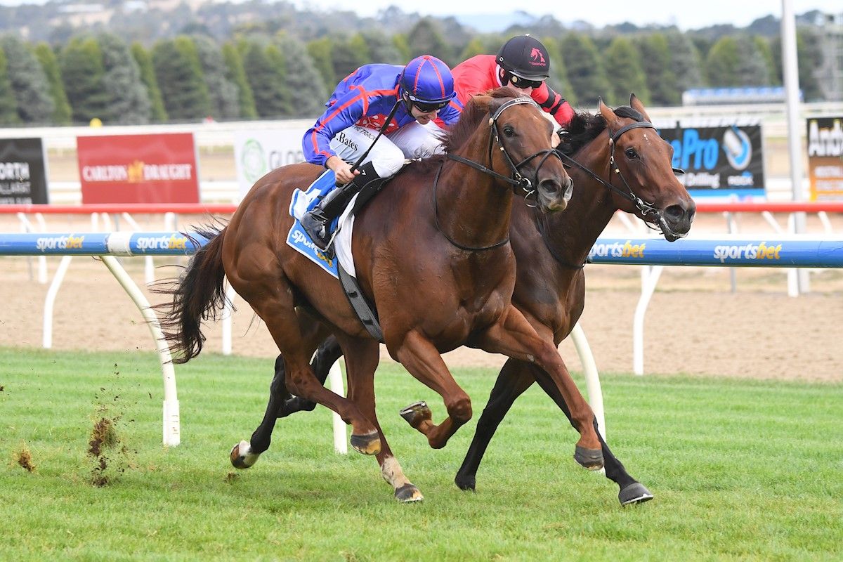 Home - Roll The Dice Racing