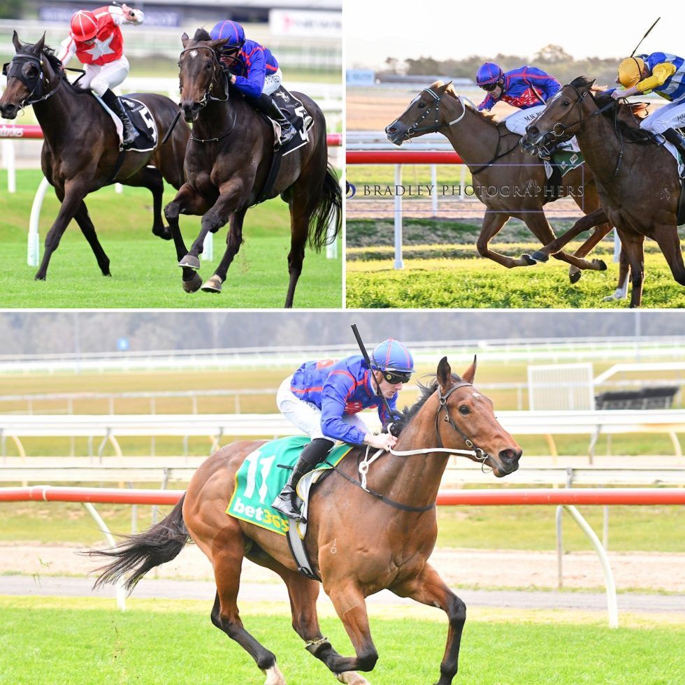 Roll the Dice Racing off to a flyer in 2023/24 - Roll The Dice Racing