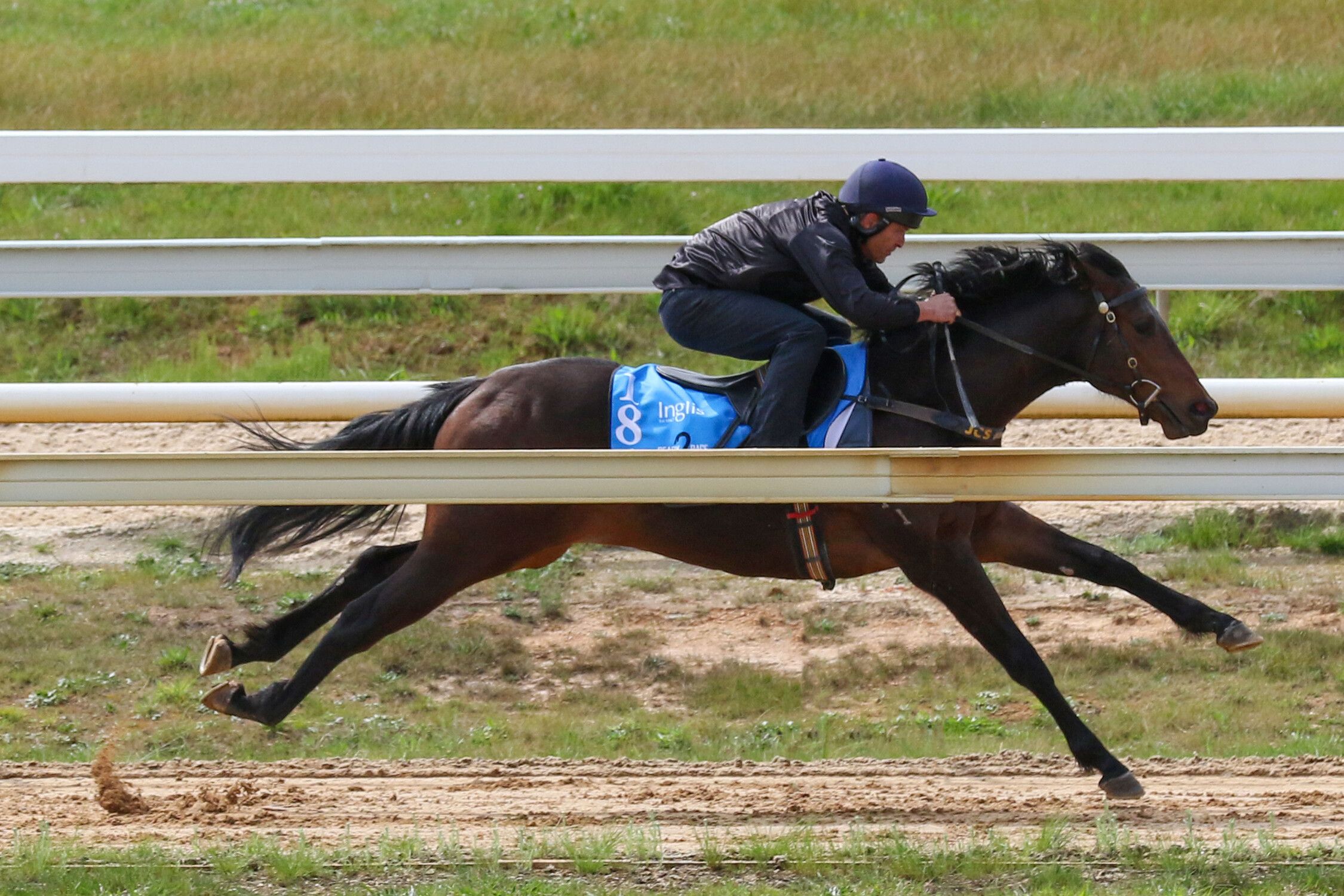 We bought our first Vinnie! - Roll The Dice Racing