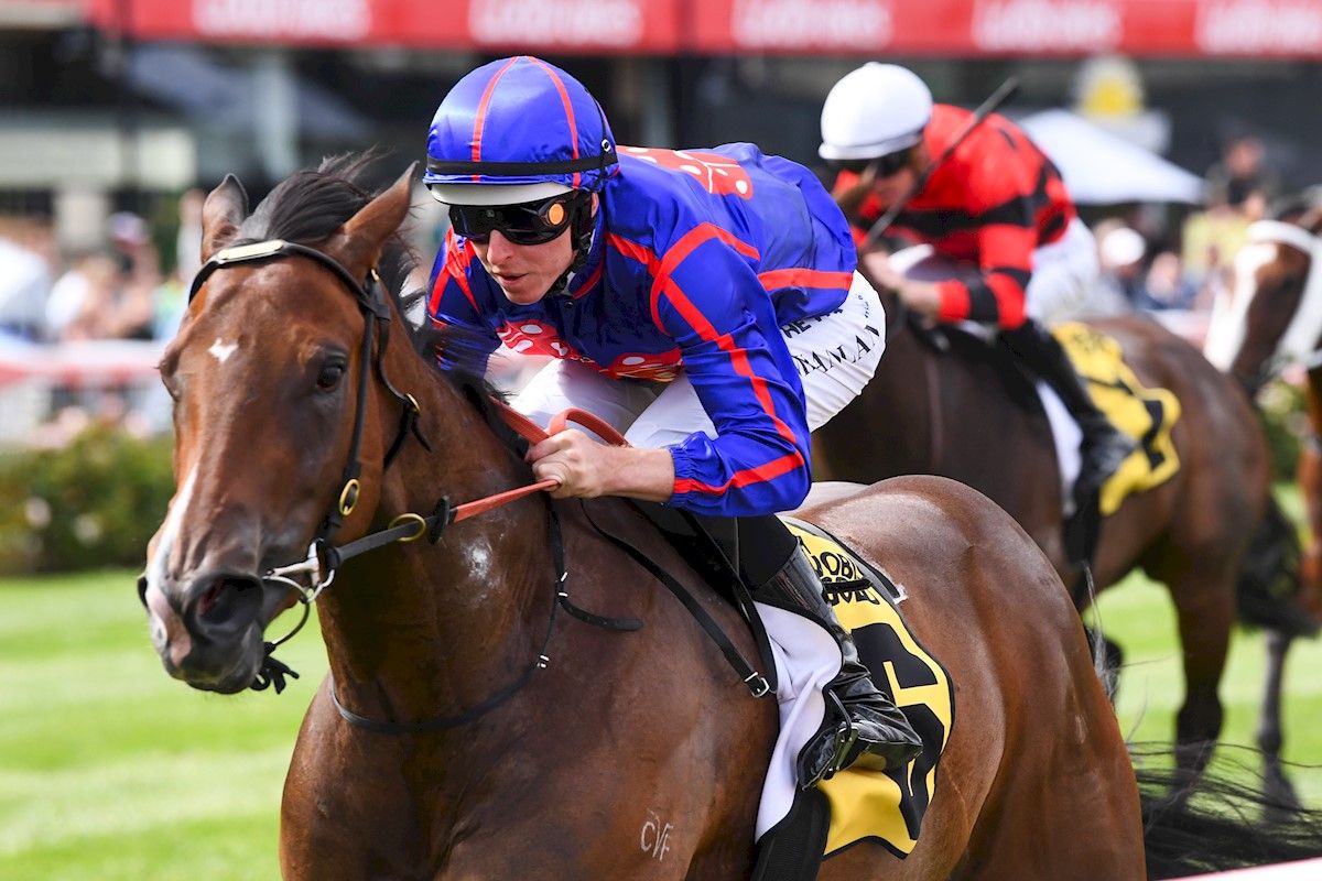 Home - Roll The Dice Racing