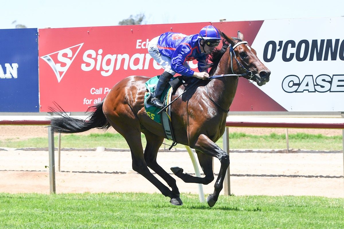 Home - Roll The Dice Racing