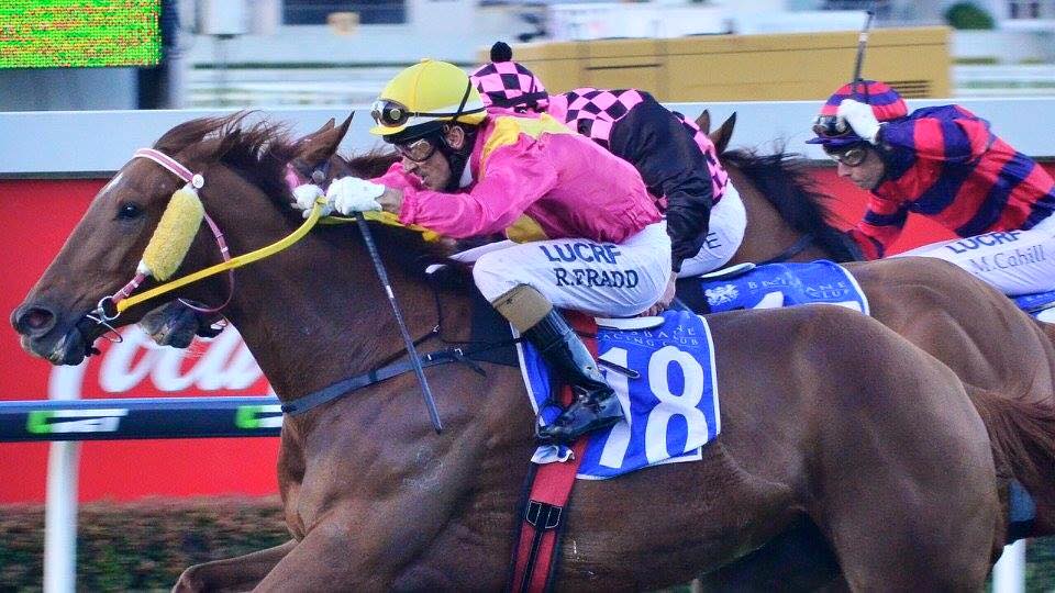 Home - Morrisey Racing