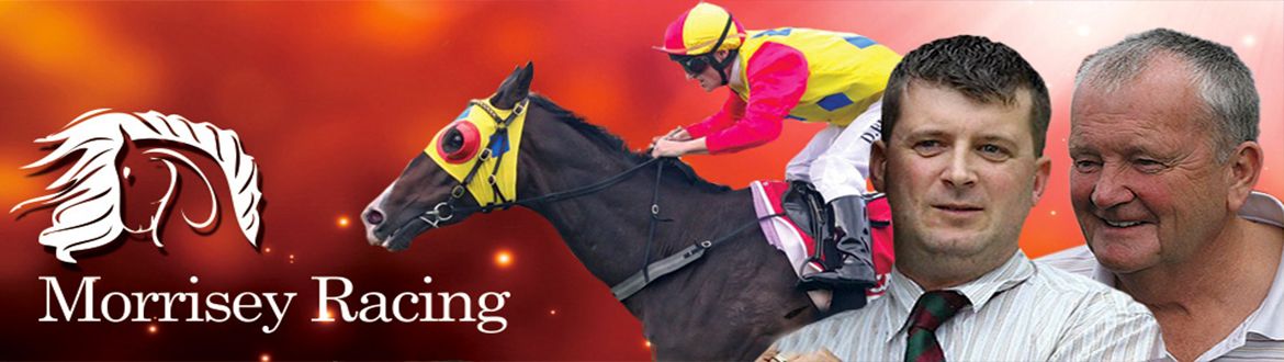 Home - Morrisey Racing