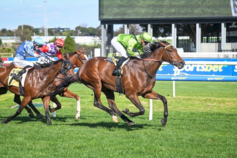 Home - Dan O'Sullivan Racing