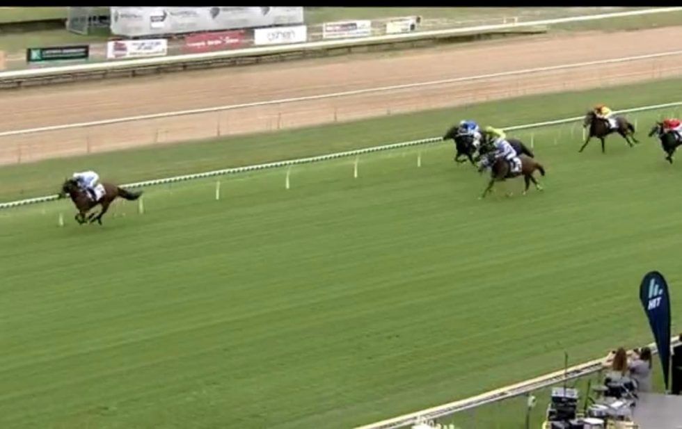Dashing Gee Gee goes back to back - Button Bros Racing