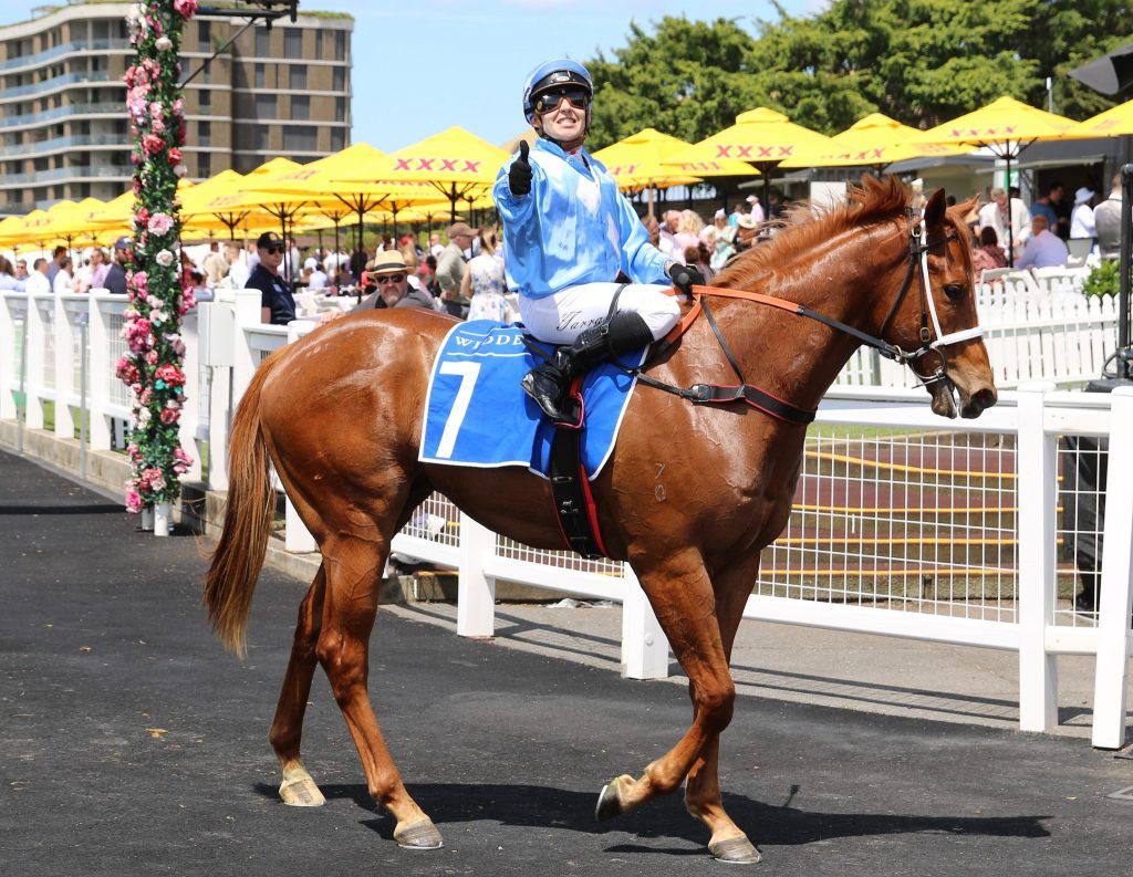 Risky Investment wins on debut - Button Bros Racing