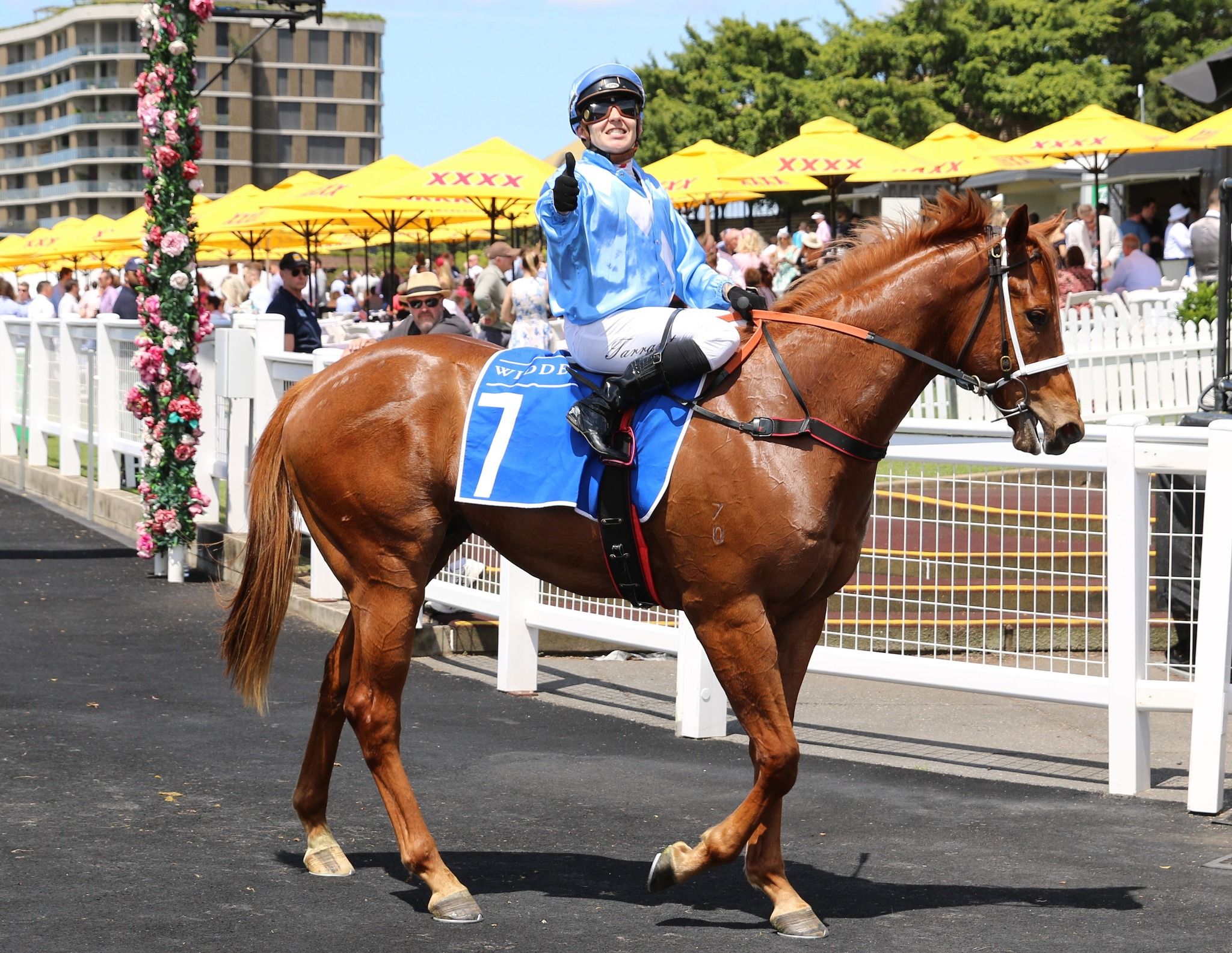 Home - Button Bros Racing