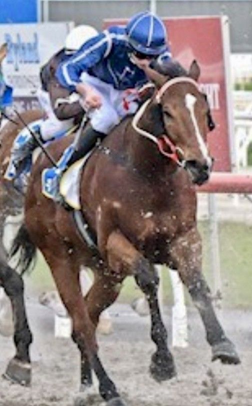 Dance And Shout - Fliedner's Racing